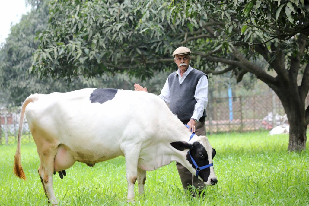 About – Valentia Farm Fresh